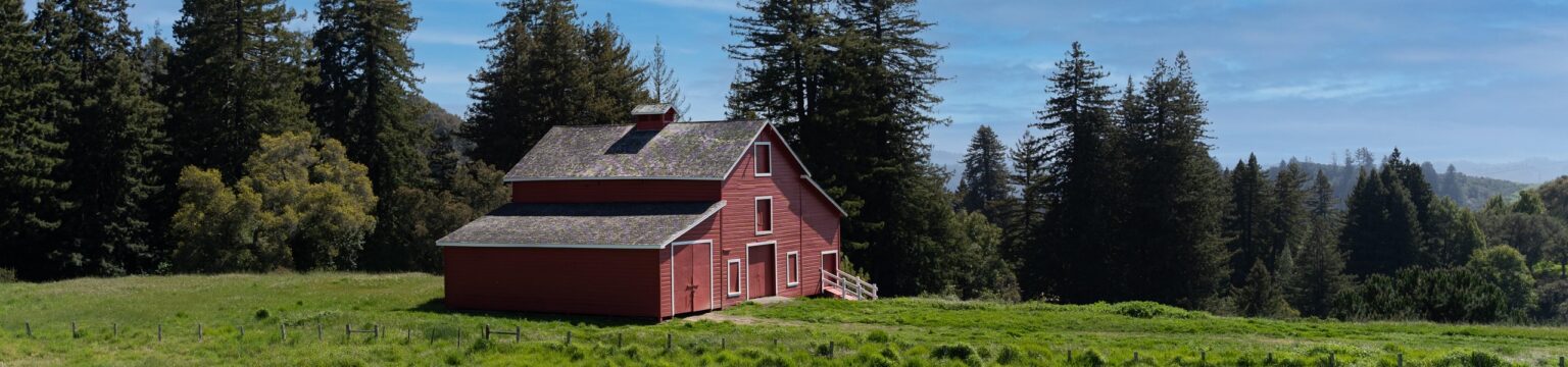 Althof, Althoff, Althofen – Sobre Nomes